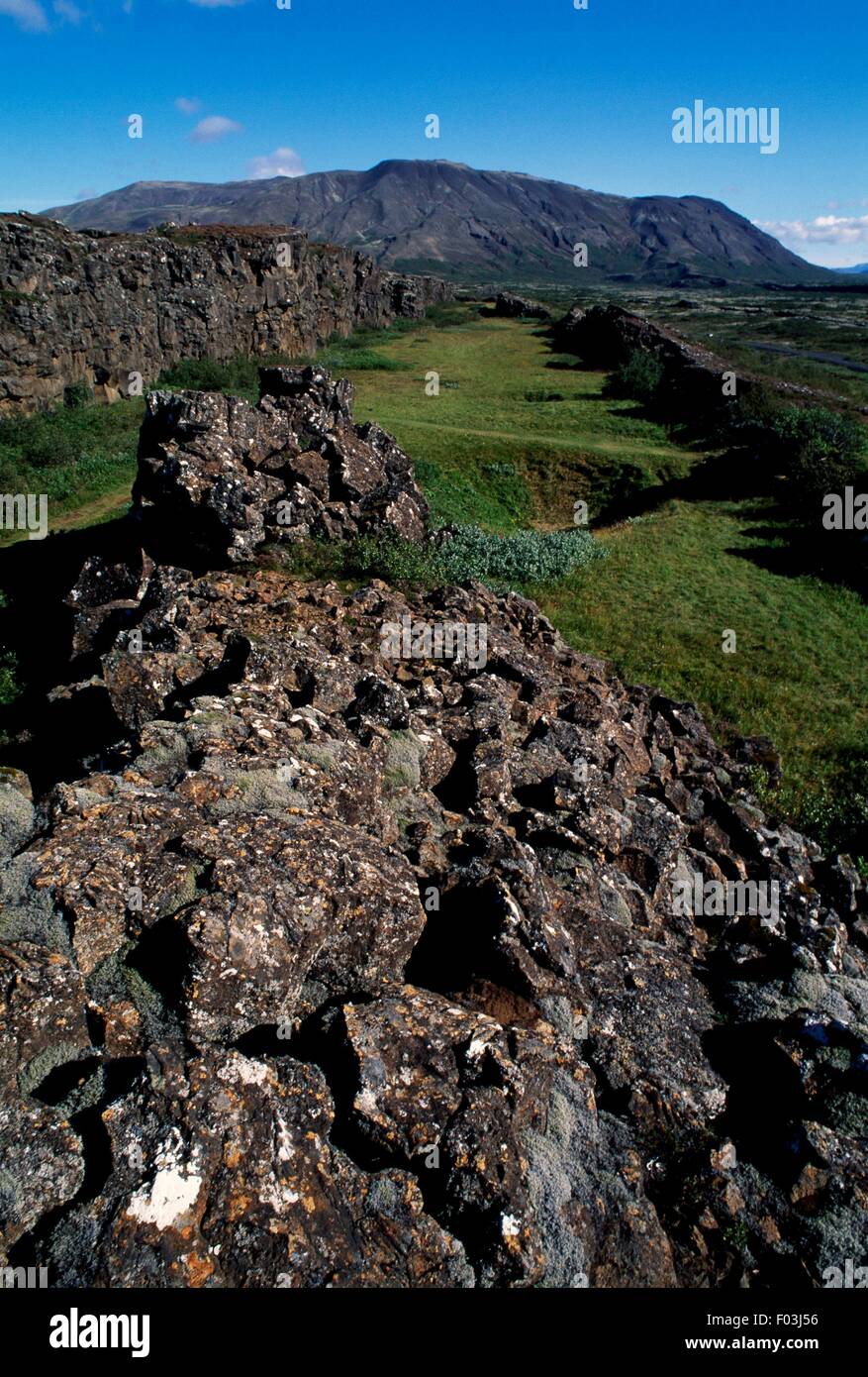 Almannagja Fault, Arnessysla, Thingvellir, Iceland Stock Photo - Alamy