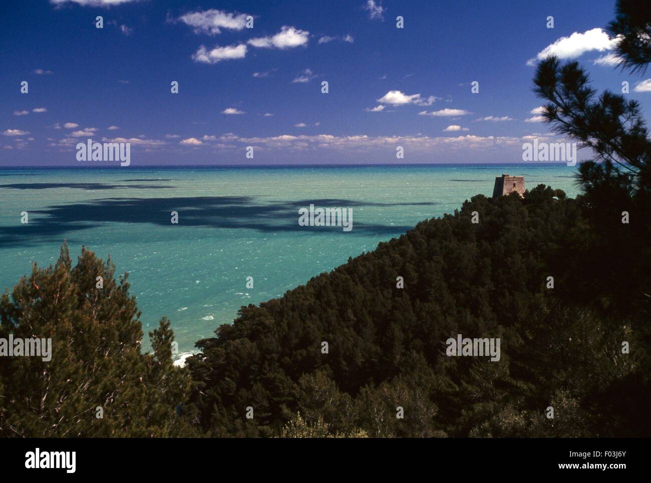 Forest of Aleppo pine (Pinus halepensis) and watchtower along the coast ...