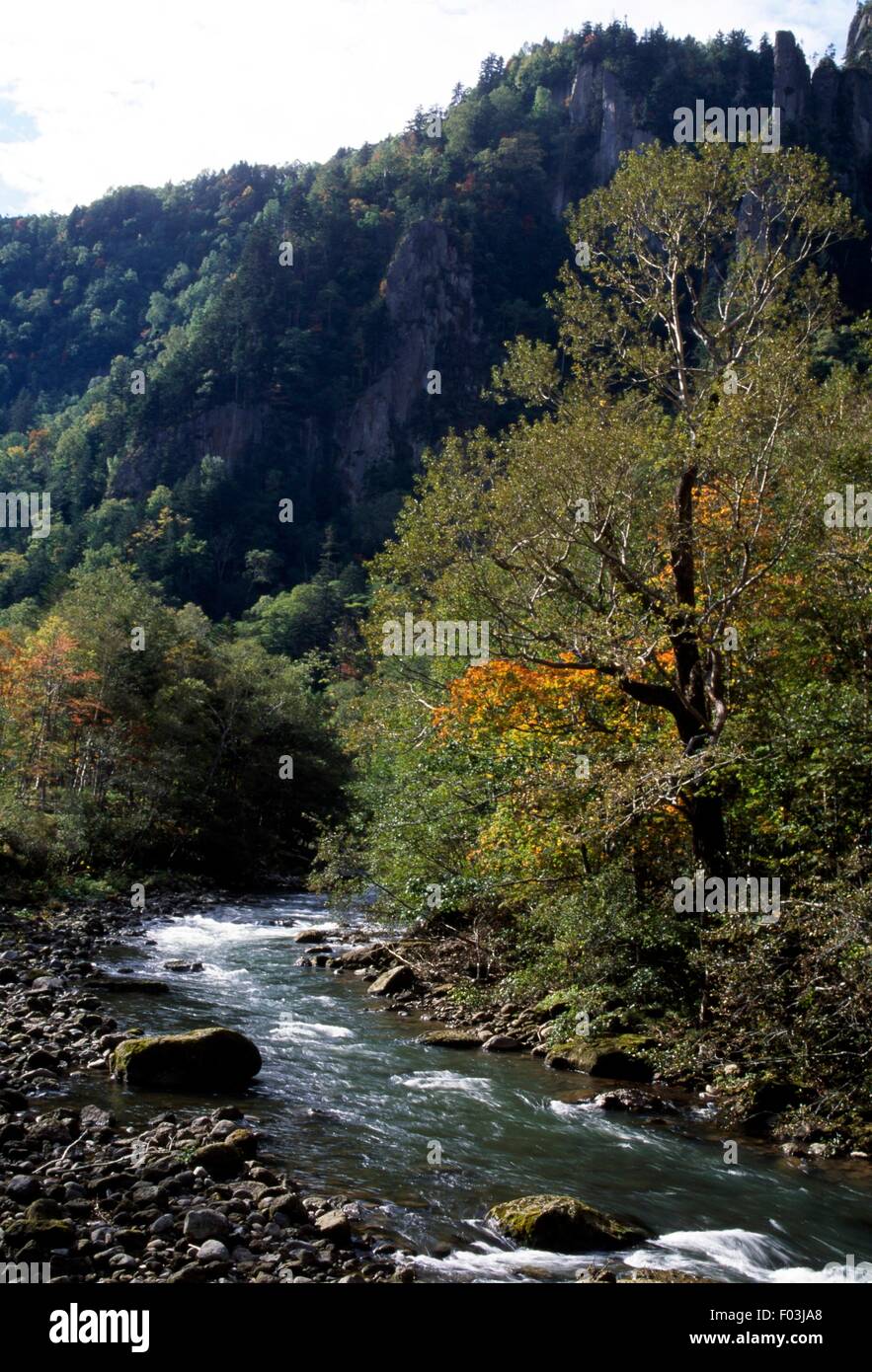 The Ishikari River in Sounkyo Gorge, Daisetsuzan National Park ...