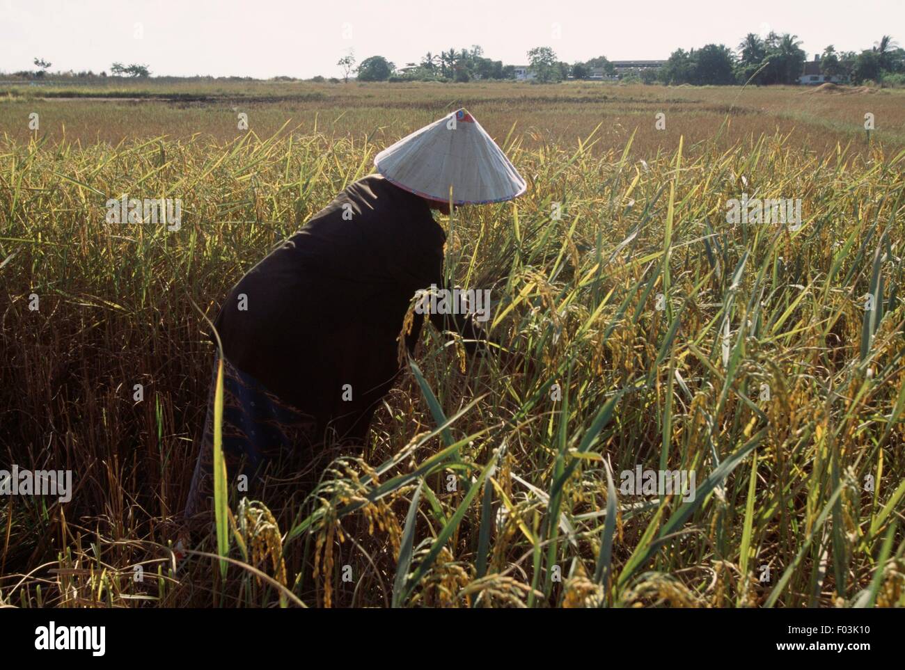 Viangchan hi-res stock photography and images - Alamy