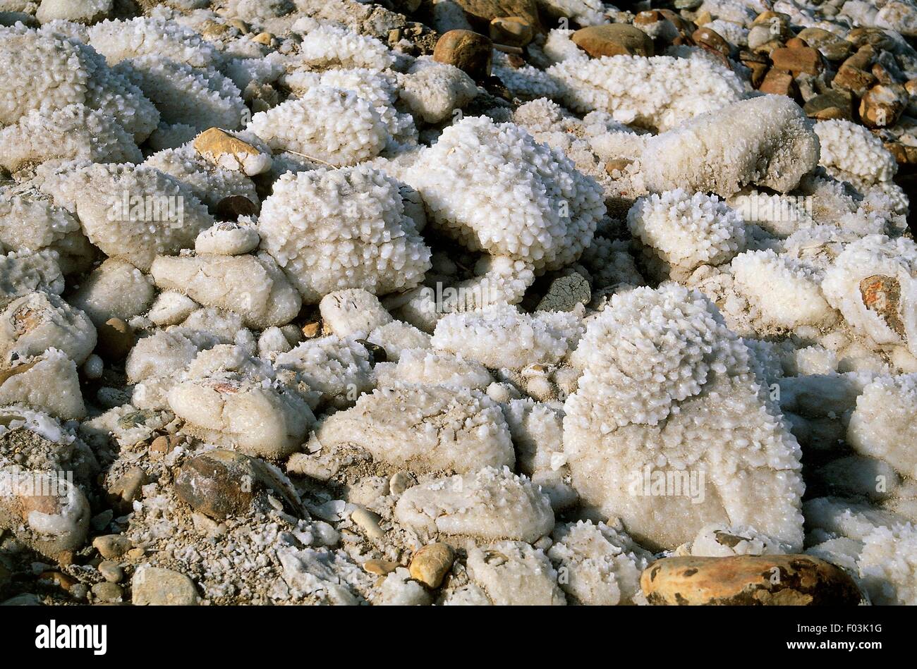 Salt concretions, Dead Sea, Mujib Biosphere Reserve, Jordan Stock Photo ...