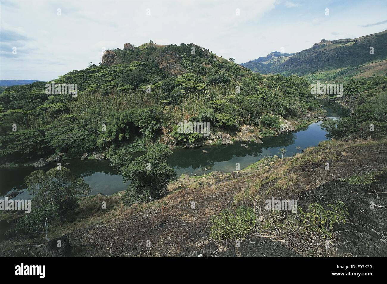 Fiji - Viti Levu Island. Subtropical forest near Navala village Stock ...