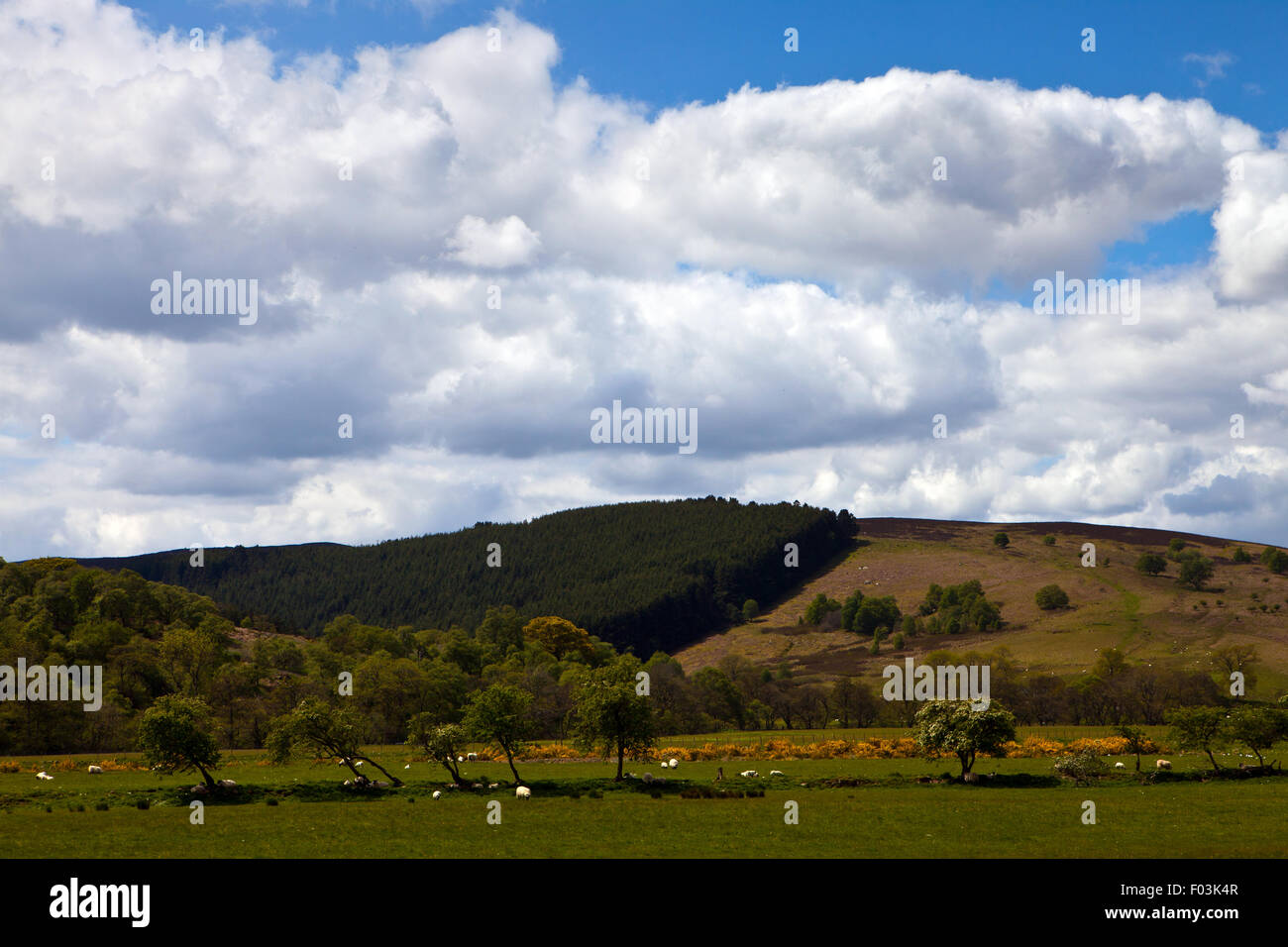 Castleton, Hope Valley, Peak District, Derbyshire Stock Photo - Alamy
