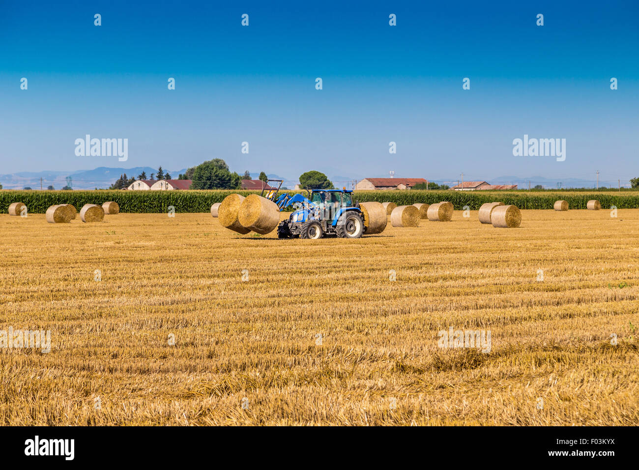 Modern agriculture - after the wheat harvest, the hay round bales are ...