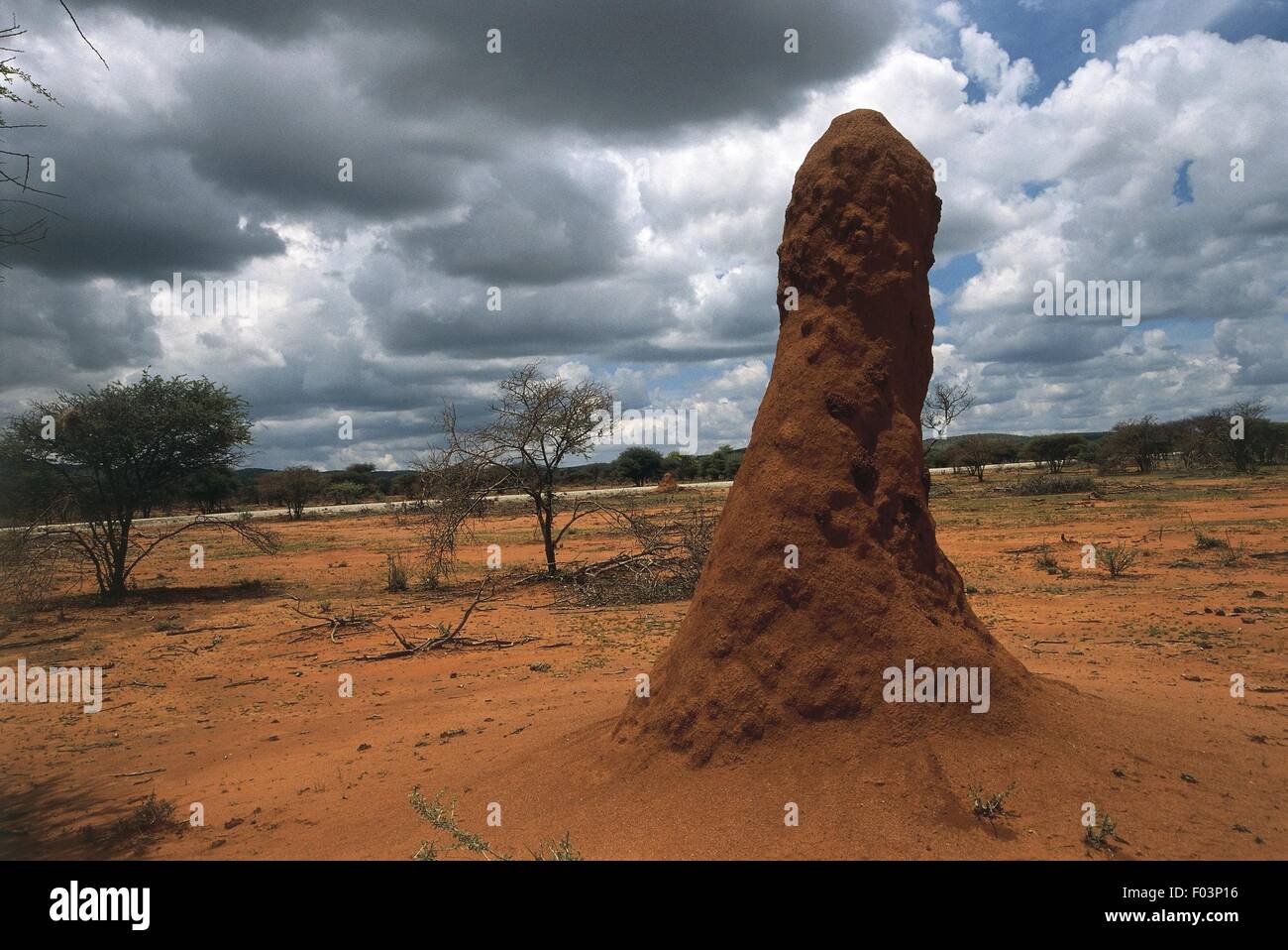 Namibia. Damaraland Wilderness Reserve. Termite mound. Stormy sky Stock ...