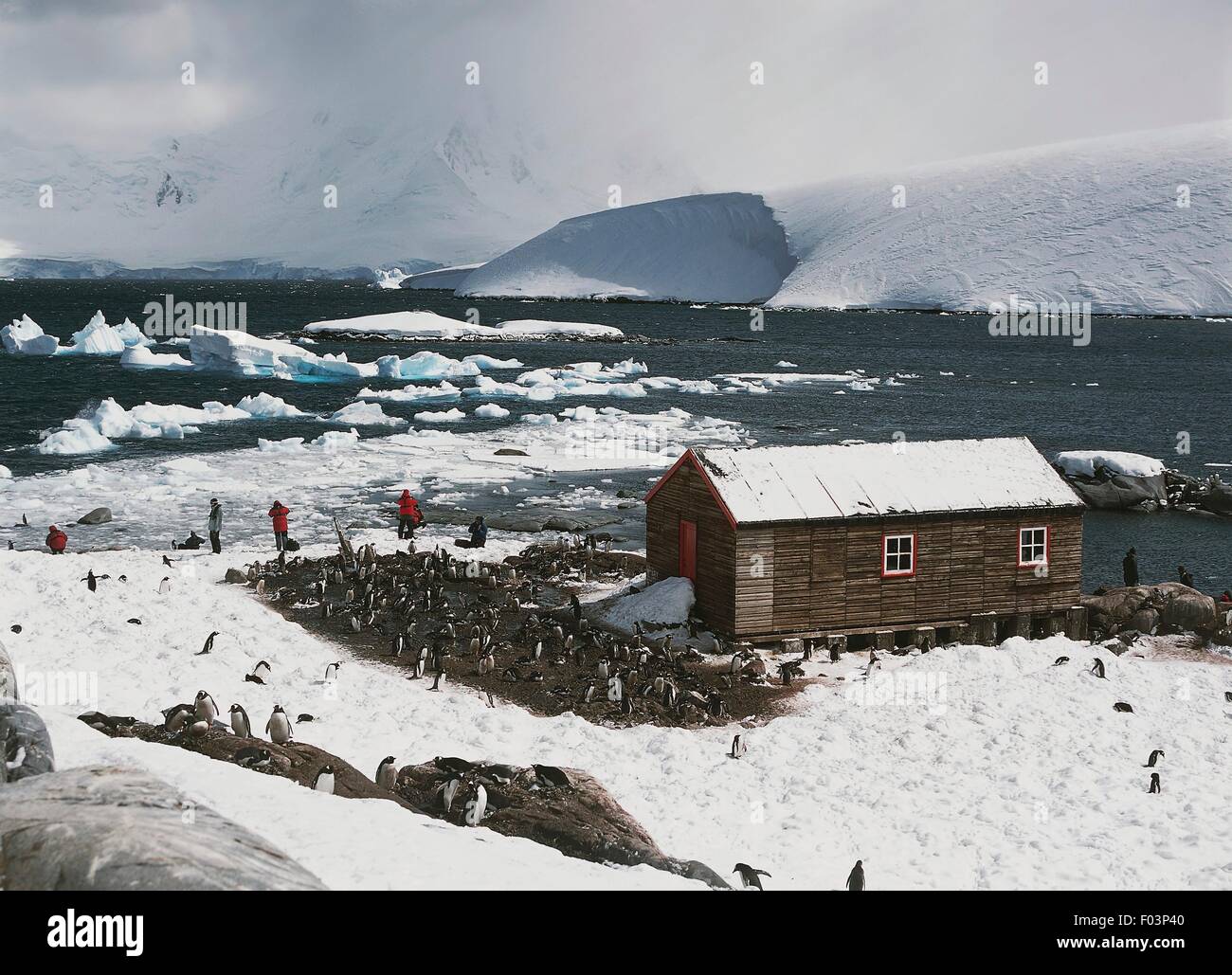 Penguins around the old British base of Port Lockroy, Goudier Island ...
