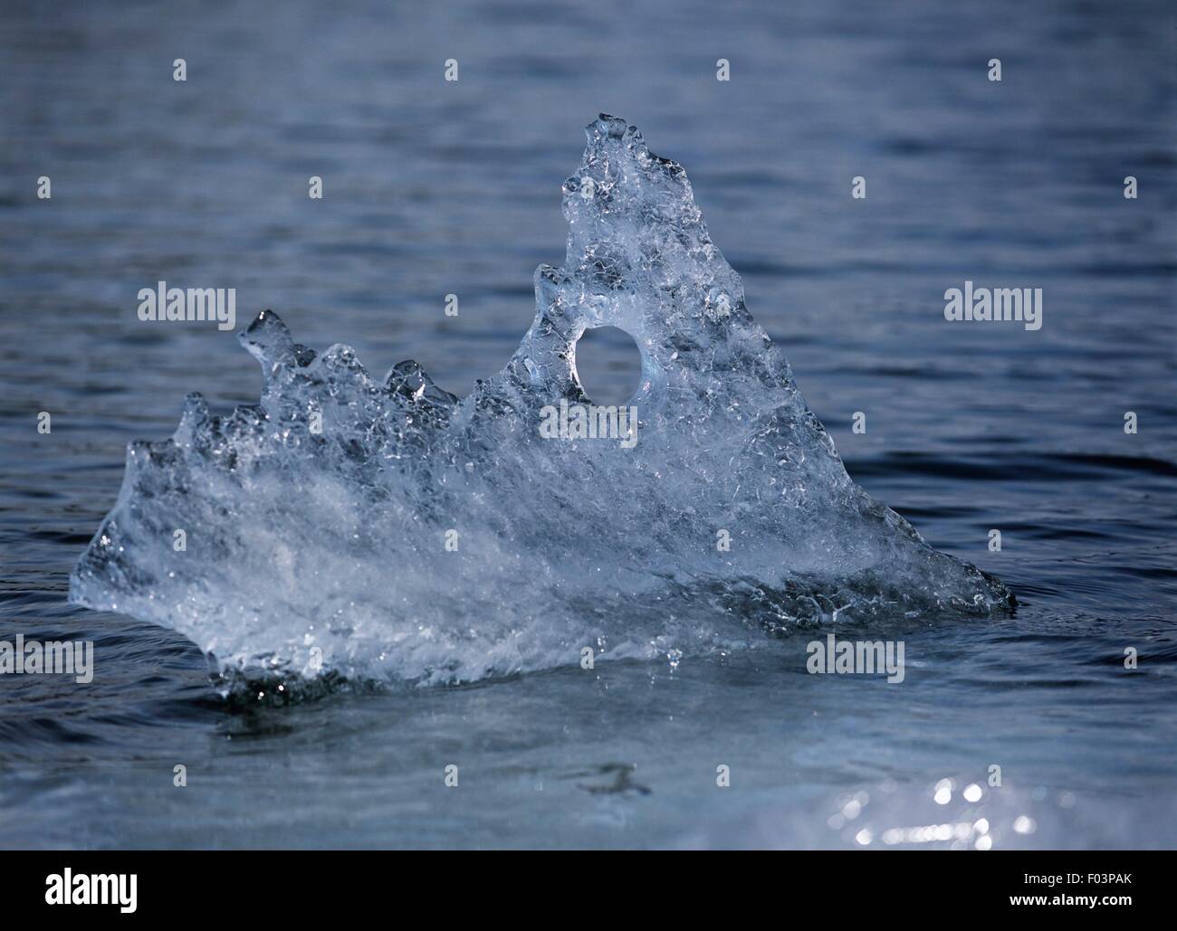 United States of America - Alaska - Kenai Fjords Natural Park - Growler ...