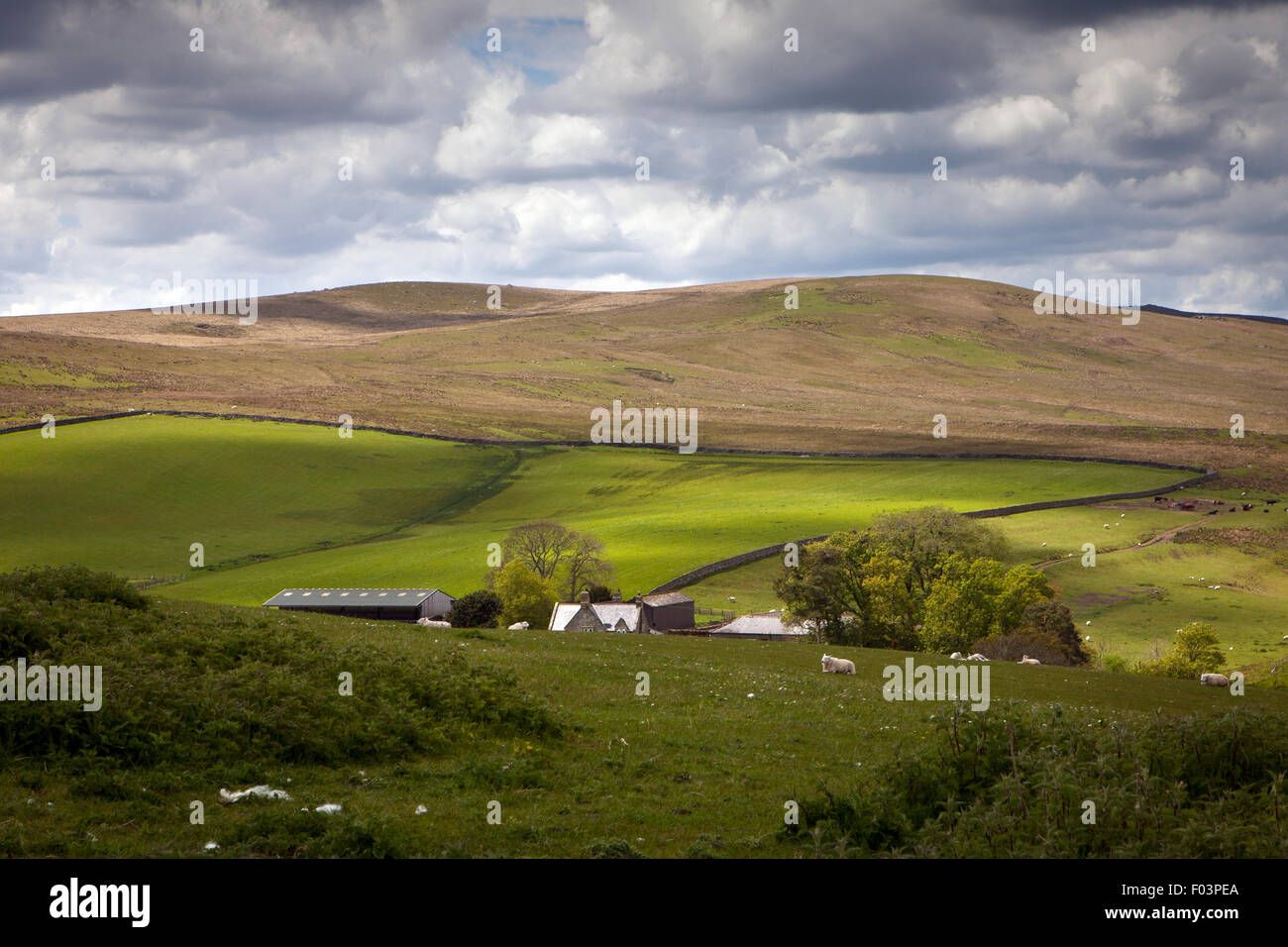Northumberland national park hi-res stock photography and images - Alamy