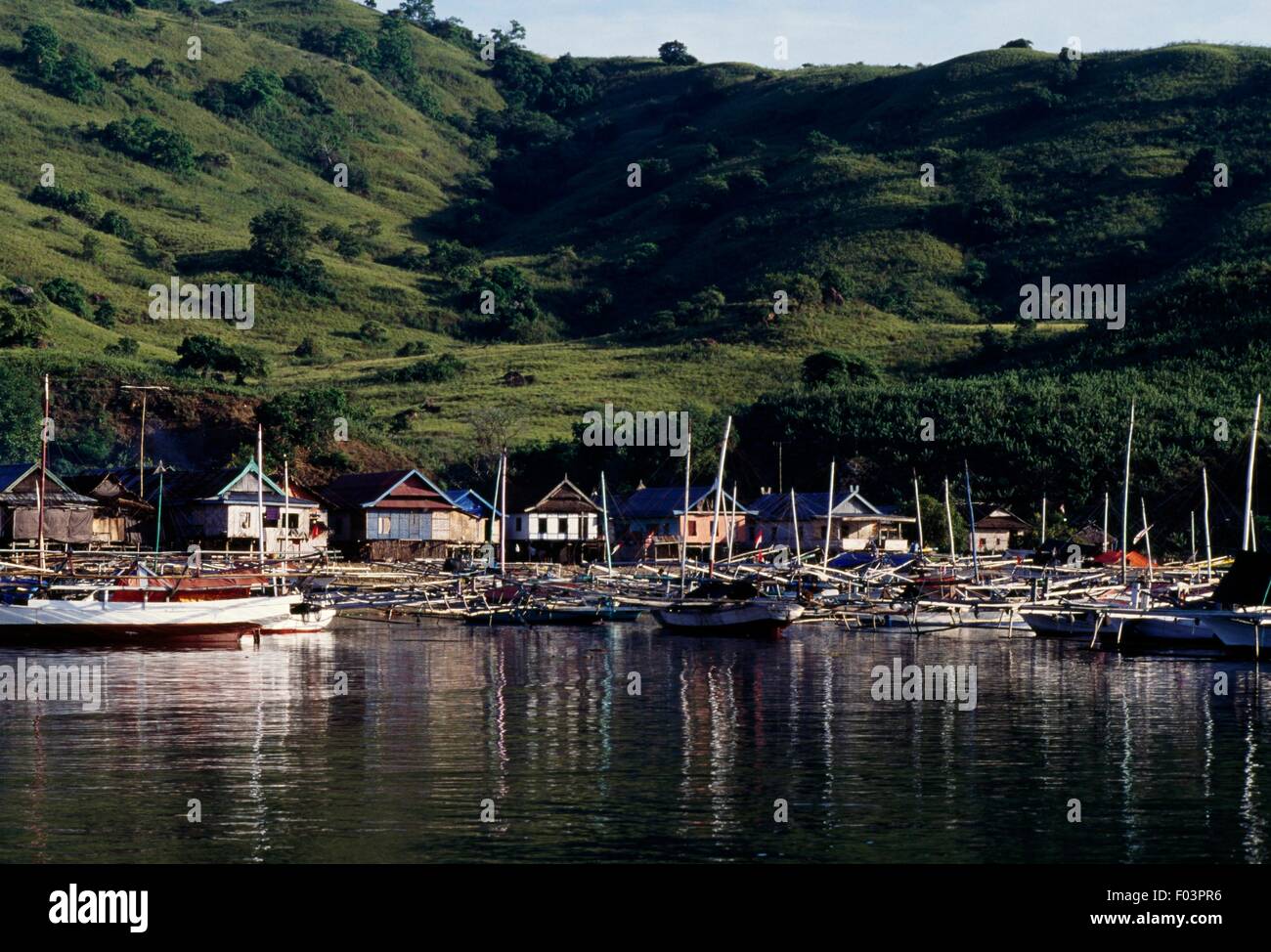 The coastal village of Kampung Komodo, Komodo Island, Komodo National ...