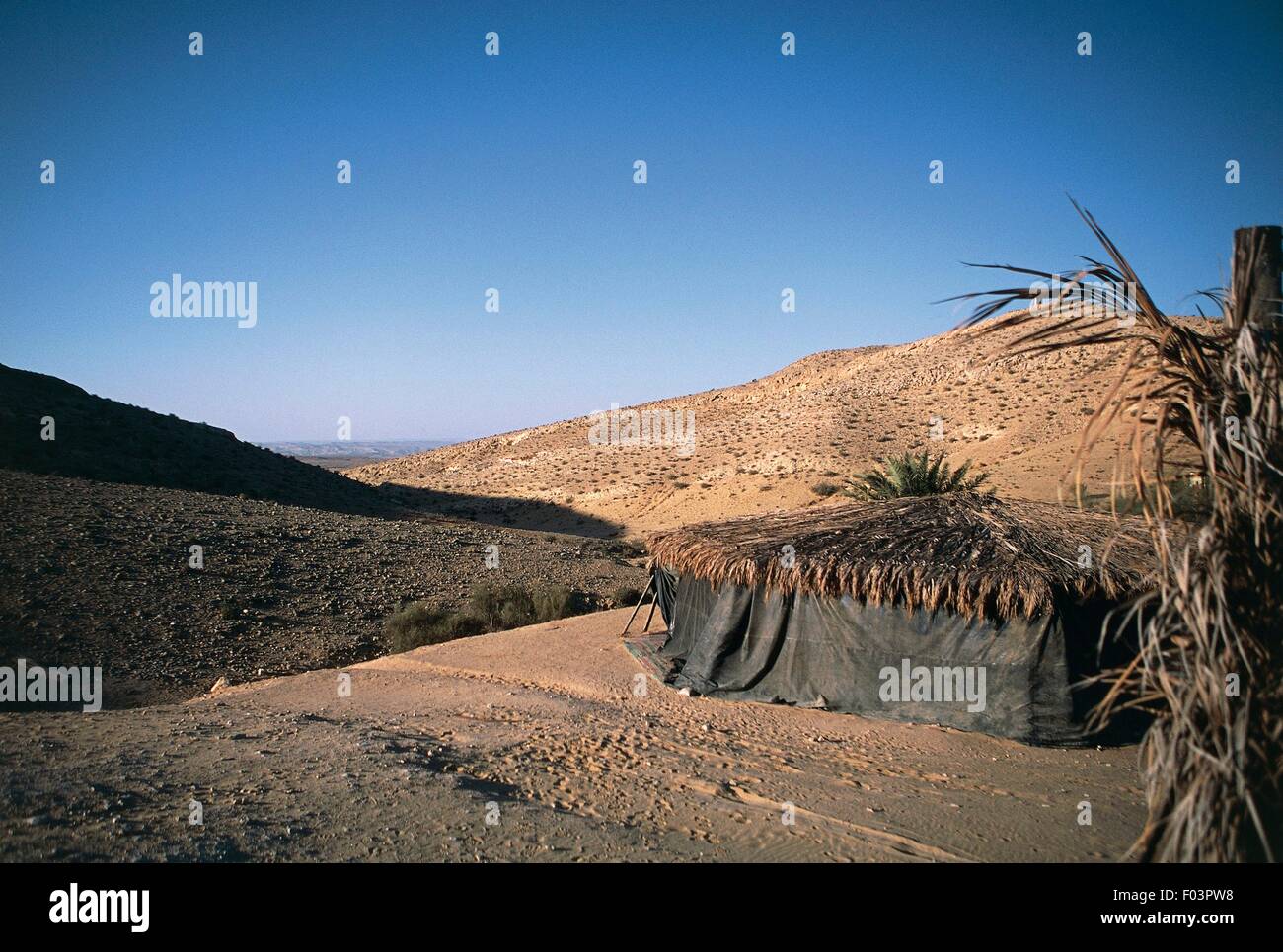 Bedouin hut in the desert, near Dimona, Negev, Israel Stock Photo - Alamy