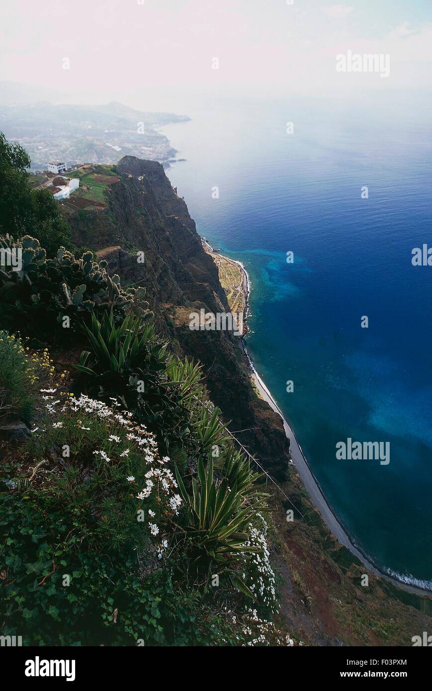 Looking over the cliff, Cape Girao, Madeira island, Portugal Stock ...