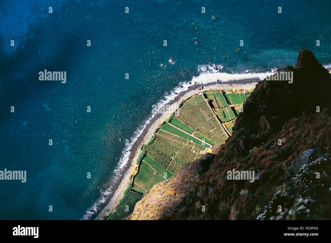 Looking over the cliff, Cape Girao, Madeira, Portugal Stock Photo - Alamy
