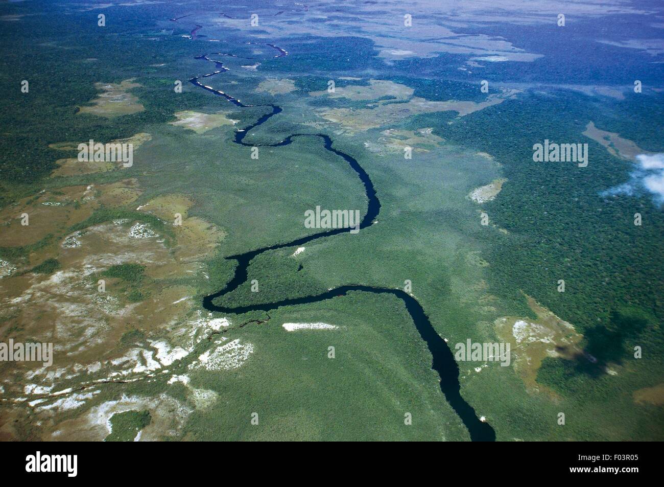 Venezuela - Guayana - Amazonas - Orinoco river flows through a forest ...