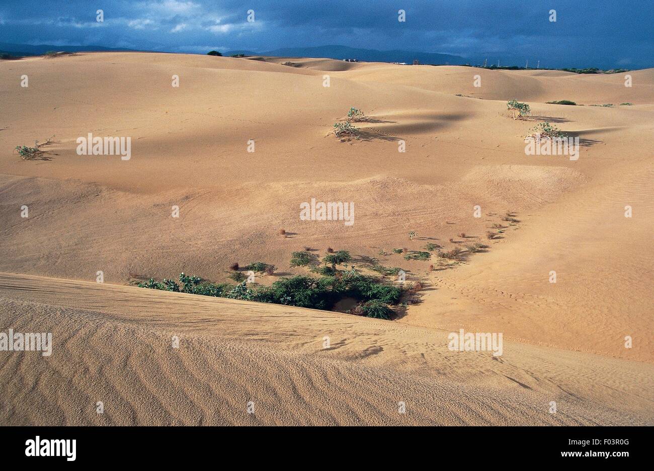 Dunes, Medanos de Coro National Park, Paraguana Peninsula, Falcon ...