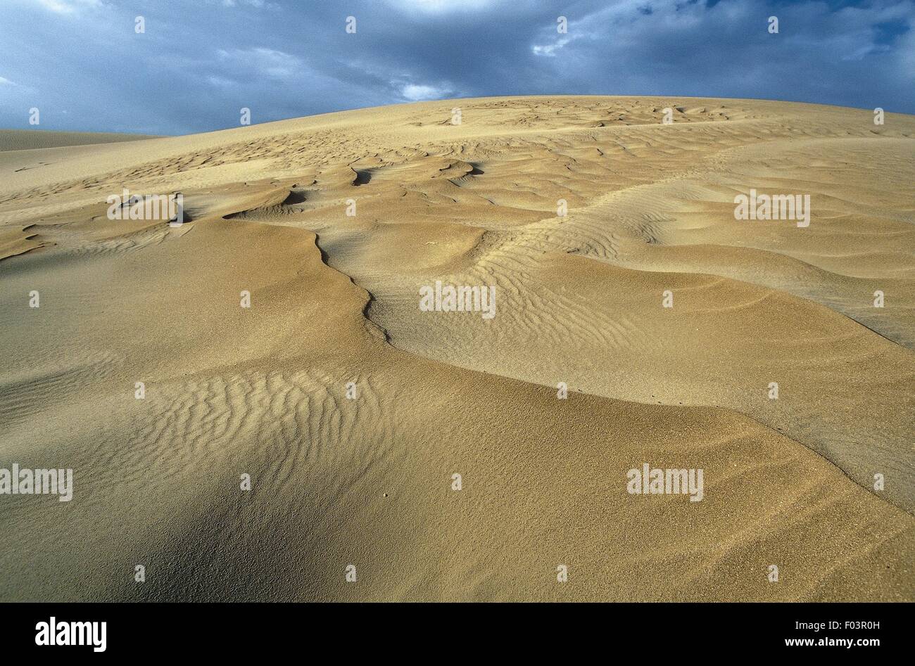 Venezuela, Falcon, Paraguana Peninsula, Isthmus of Medanos, Medanos de ...