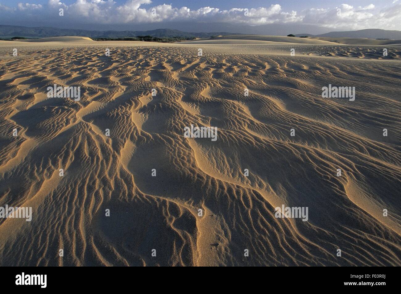 Venezuela, Falcon, Paraguana Peninsula, Isthmus of Medanos, Medanos de ...
