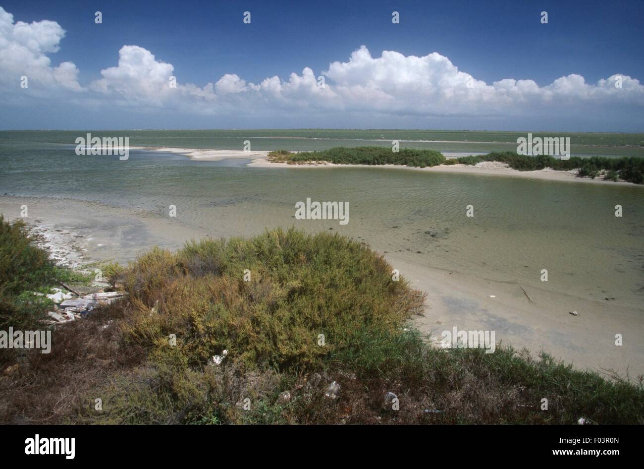 Venezuela, Falcon, Paraguana Peninsula, Tiraya, lagoon landscape with ...