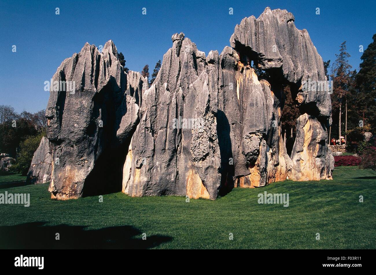 Gray limestone pinnacles, Stone Forest (UNESCO World Heritage List ...