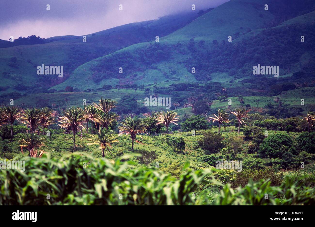 Tres zapotes hi-res stock photography and images - Alamy