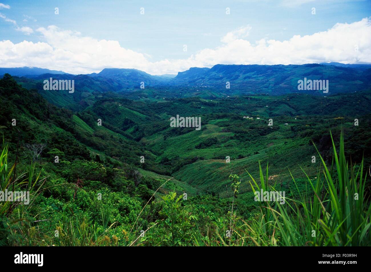 Panoramic view of one of the valleys of Chiapas, Mexico Stock Photo - Alamy