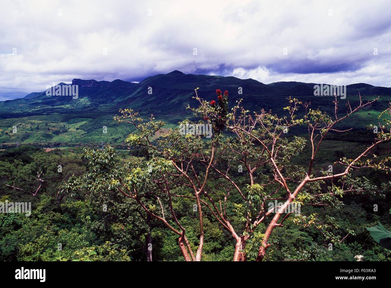 Panoramic view of the Chiapas mountains, Mexico Stock Photo - Alamy