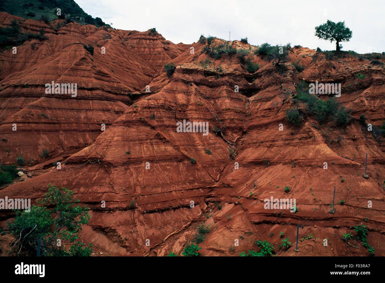 Reliefs in eroded soil in Oaxaca state, Mexico Stock Photo - Alamy