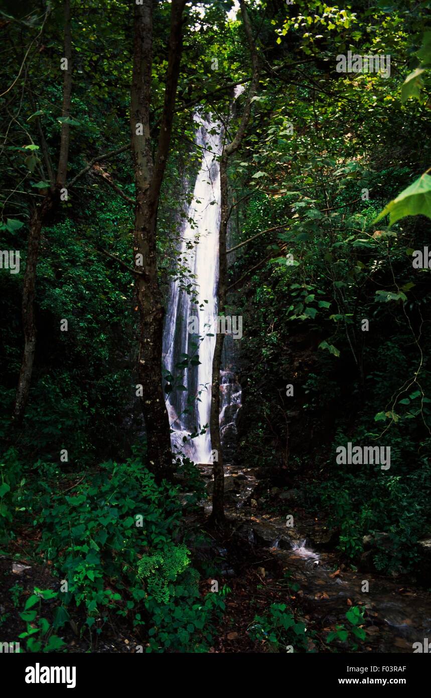 Waterfall in the rainforest, Queretaro, Mexico Stock Photo - Alamy