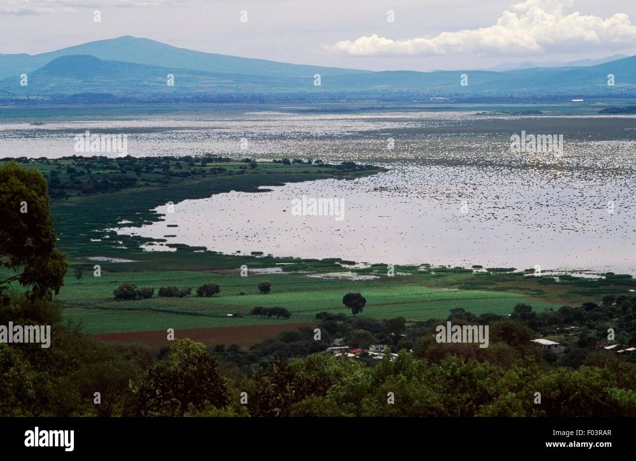 View of the Yuriria lagoon, artificial lake created in 1548, Guanajuato ...