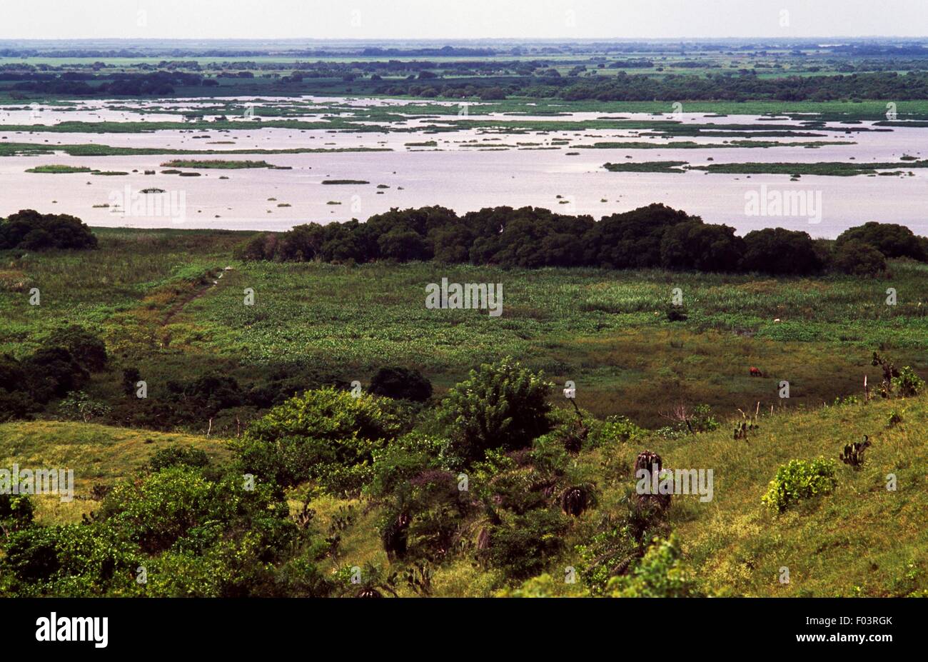 View of the Papaloapan river, Veracruz, Mexico Stock Photo - Alamy