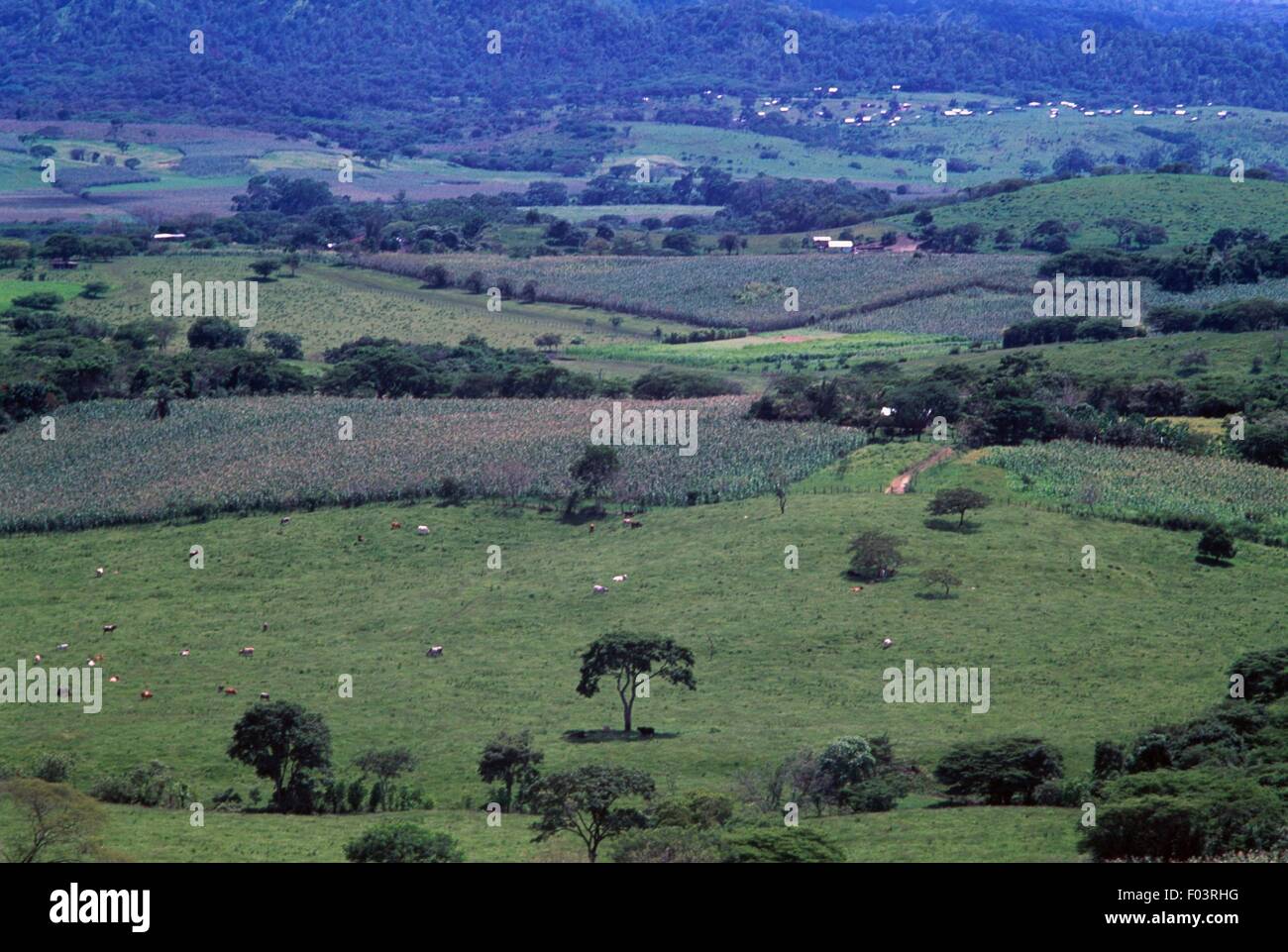 Agricultural landscape on the hills of Chiapas, Mexico Stock Photo - Alamy