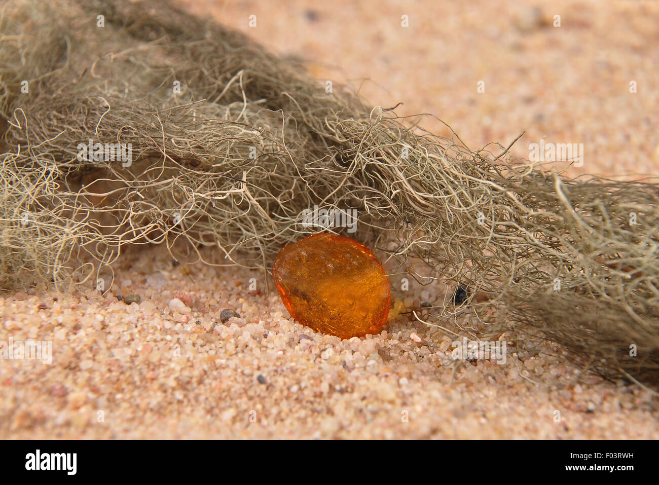 Amber on beach Stock Photo - Alamy