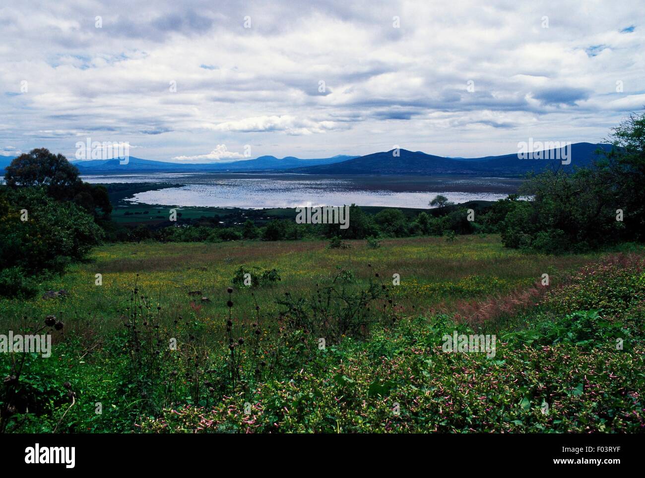 View of Yuriria lagoon, artificial lake created in 1548, Guanajuato ...
