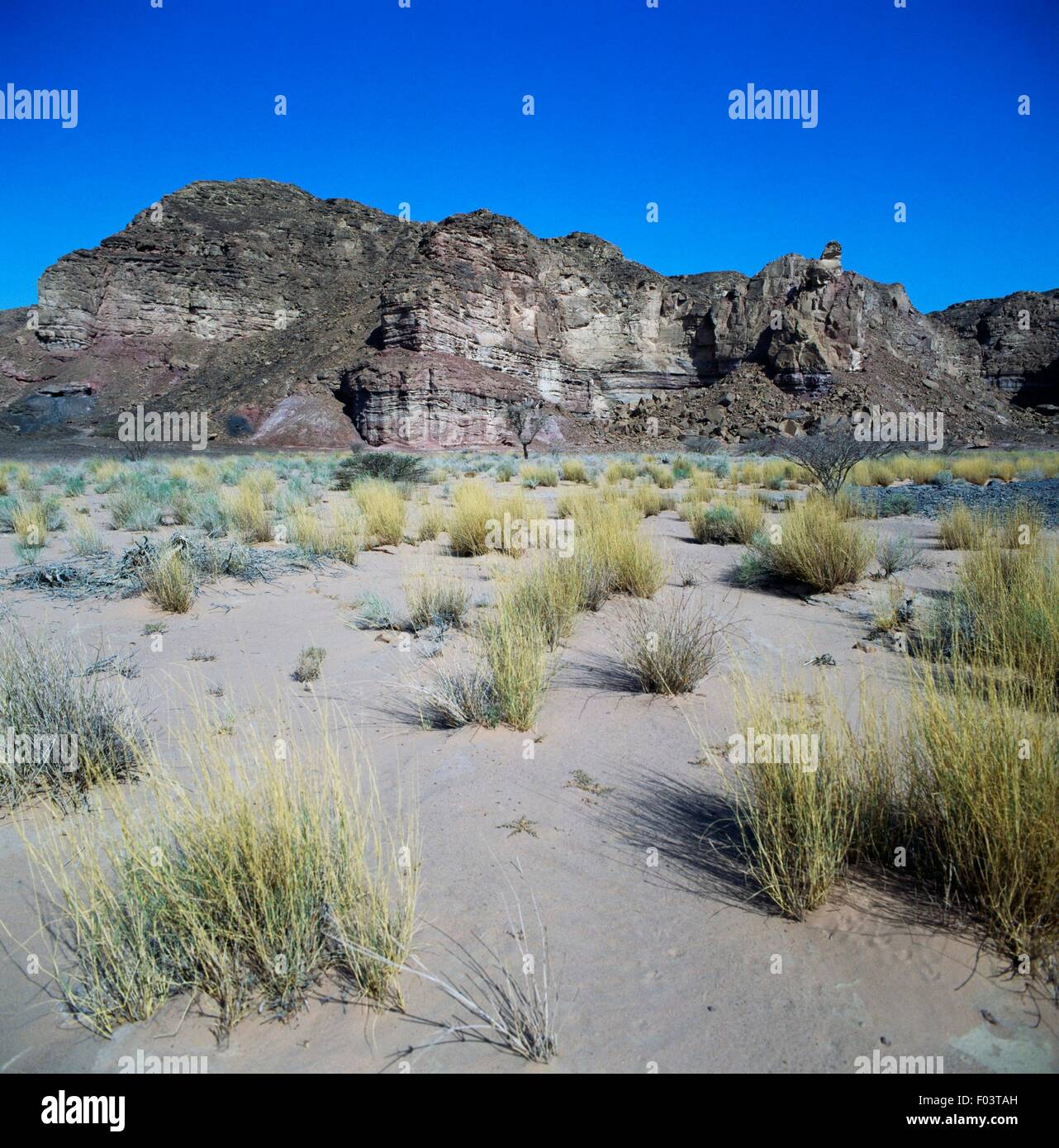 Rock formations in Timna Valley or Nahal Timna, Israel Stock Photo - Alamy