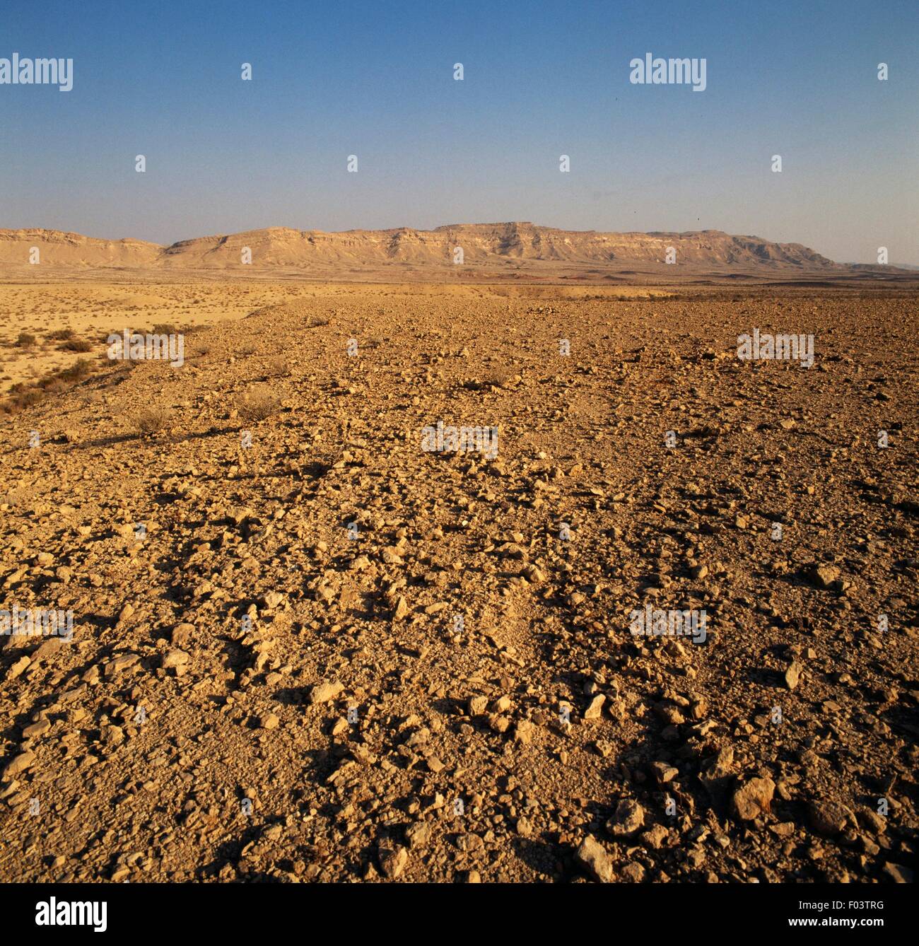 The surroundings of Ein Saharonim, Makhtesh Ramon or the Ramon Crater ...