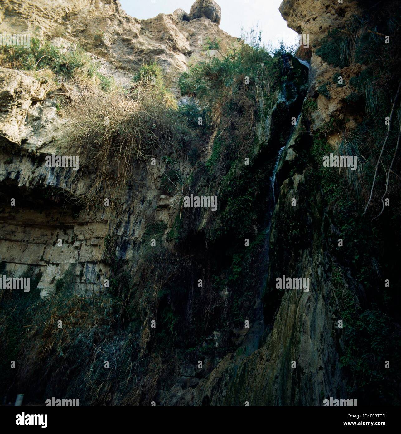 David's waterfall, Ein Gedi National Park, Israel Stock Photo - Alamy