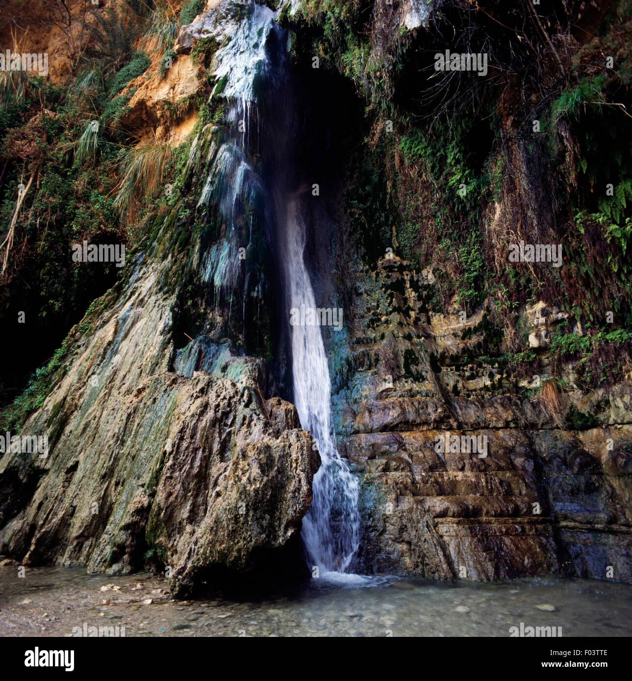 David's waterfall, Ein Gedi National Park, Israel Stock Photo - Alamy