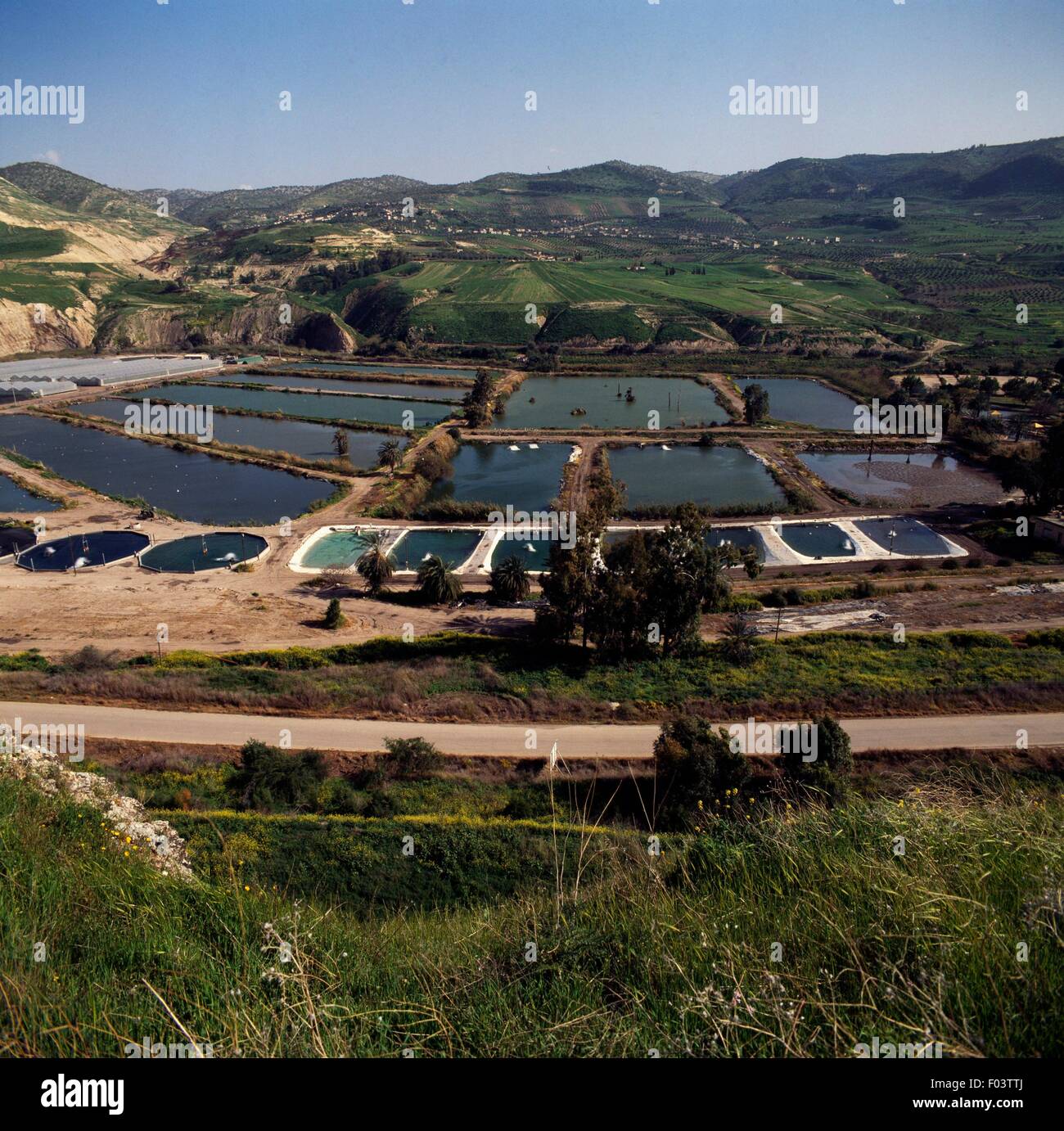 Basins for water supply and fish farming, fed by the river Yarmuk ...