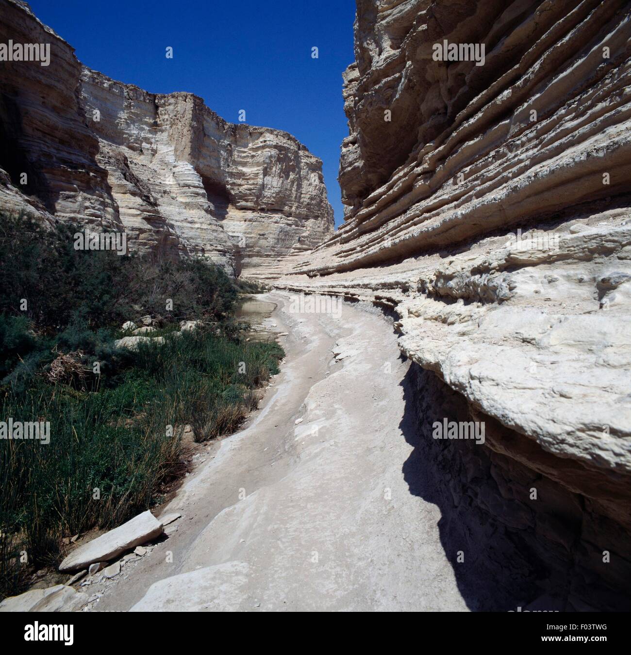 The Ein Avdat canyon in Nahal Zin, Negev Desert, Israel Stock Photo - Alamy