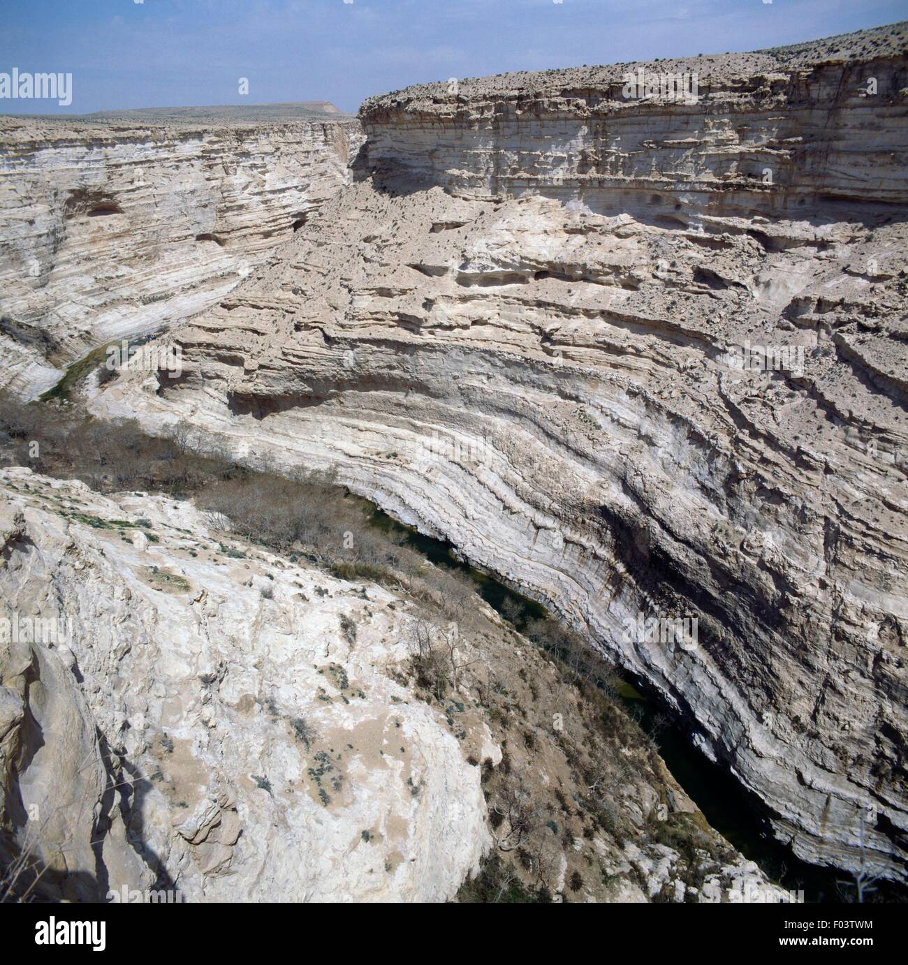 The Ein Avdat canyon in Nahal Zin, Negev Desert, Israel Stock Photo - Alamy