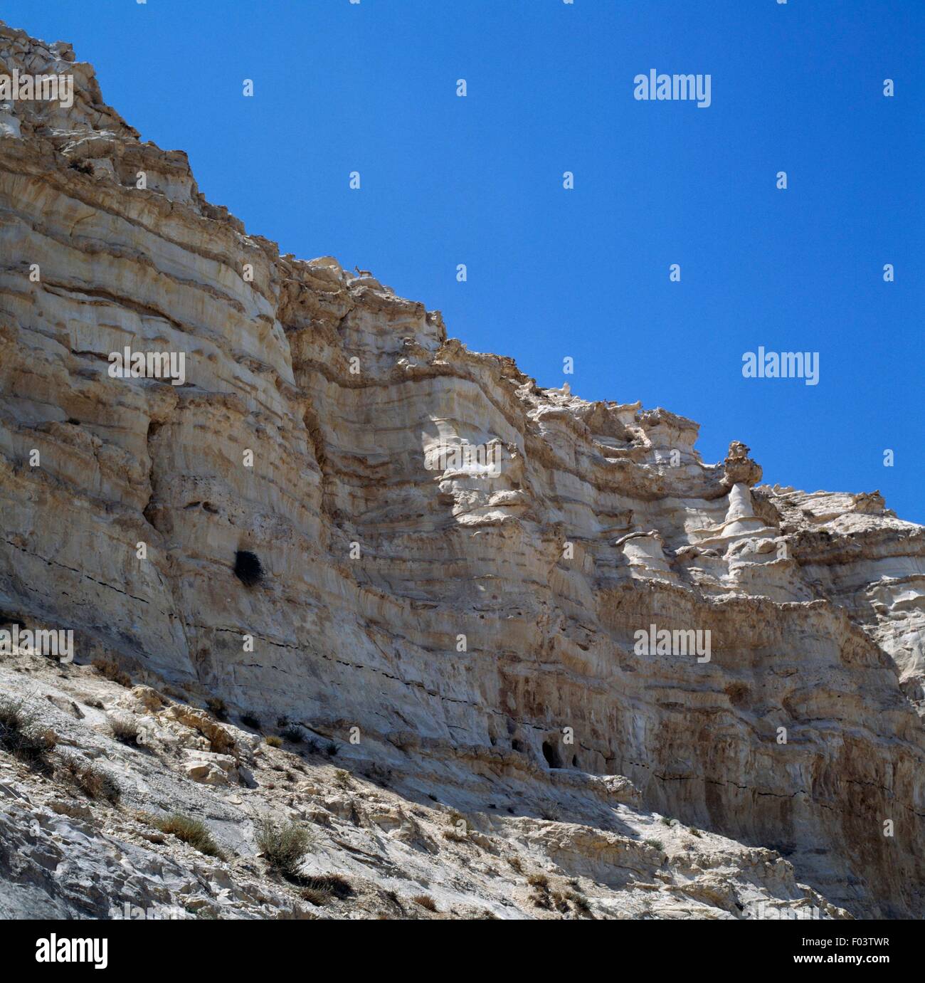 The Ein Avdat canyon in Nahal Zin, Negev Desert, Israel. Detail Stock ...