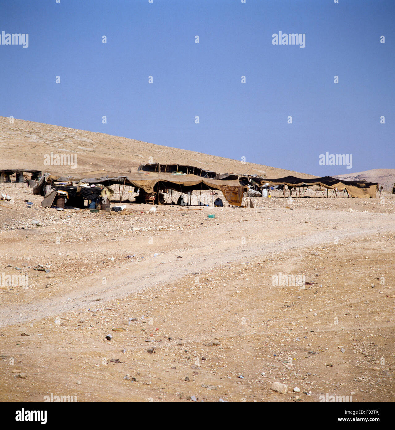 Bedouin tents in the Judean Desert, Israel Stock Photo - Alamy