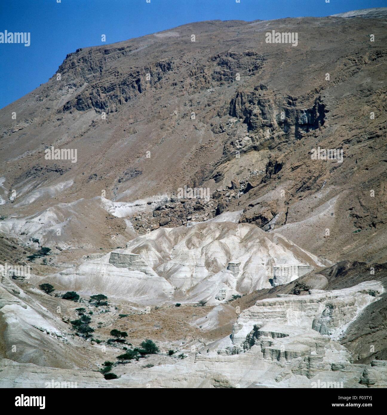 The Negev Desert near Arad, Israel Stock Photo - Alamy
