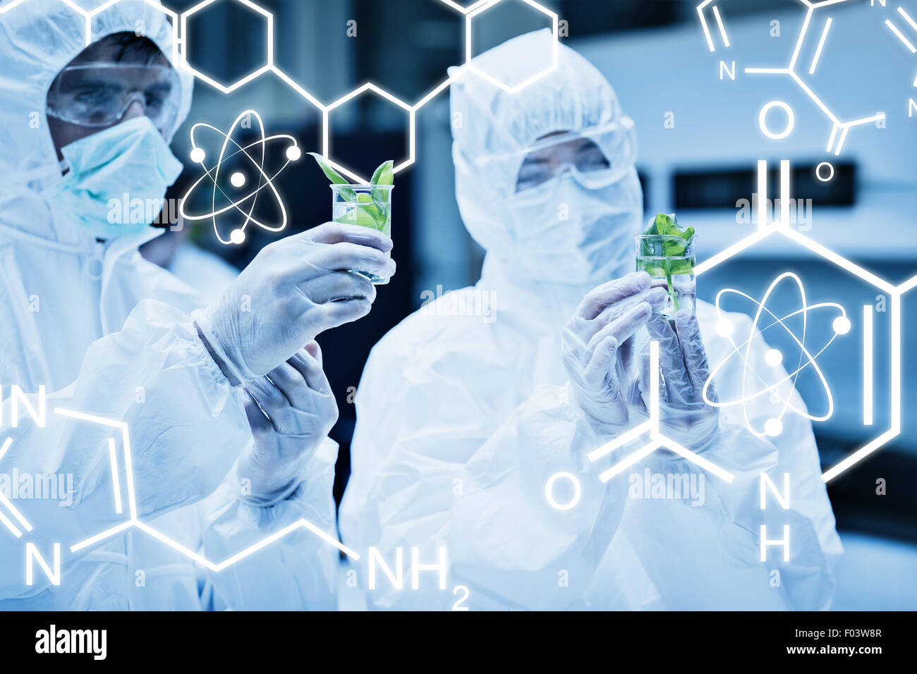 Science students plants hi-res stock photography and images - Alamy