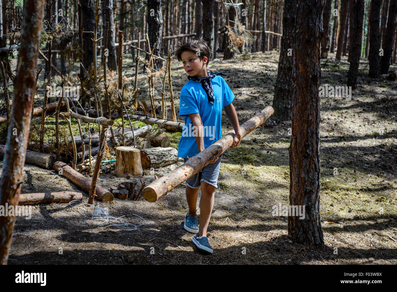 Boy scout carrying a log in Ukrainian scout training camp, Kiev region ...