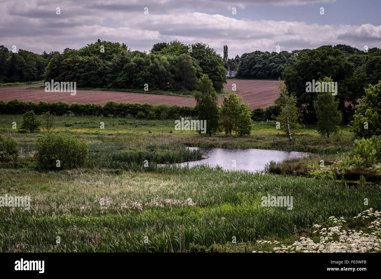 A Riverside Country Scene Stock Photo - Alamy