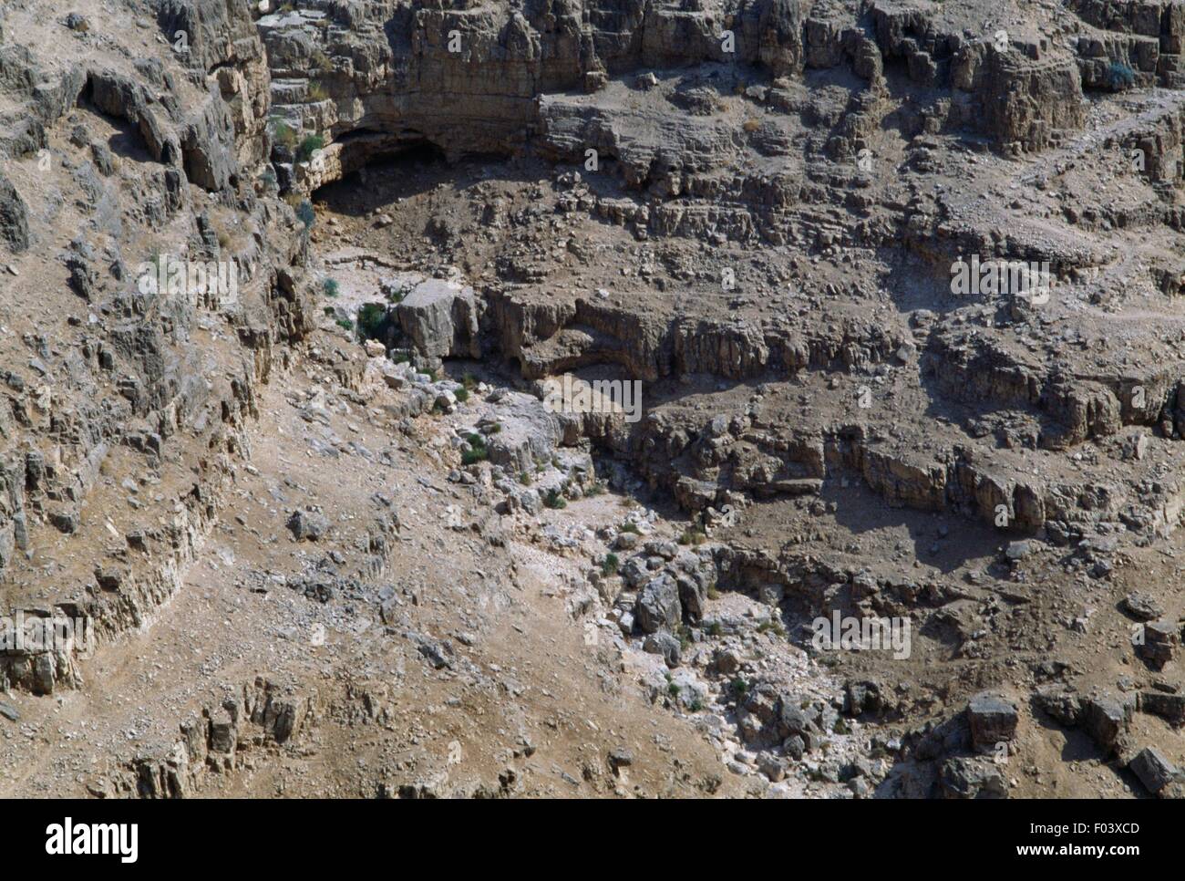 The Wadi Qelt, Judaean Desert, Israel. Detail Stock Photo - Alamy