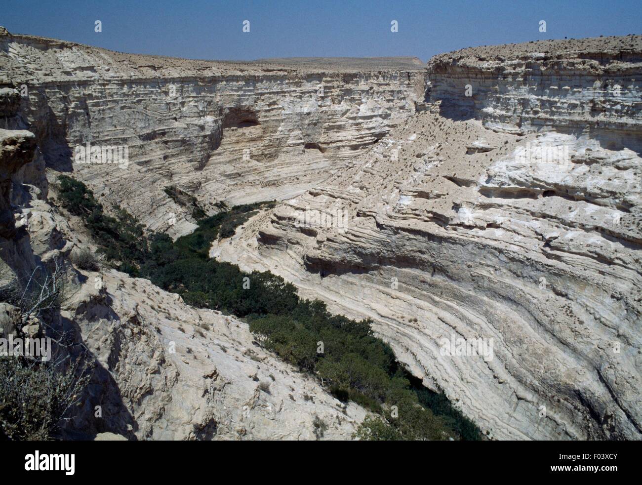 The Ein Avdat canyon in Nahal Zin, Negev Desert, Israel Stock Photo - Alamy