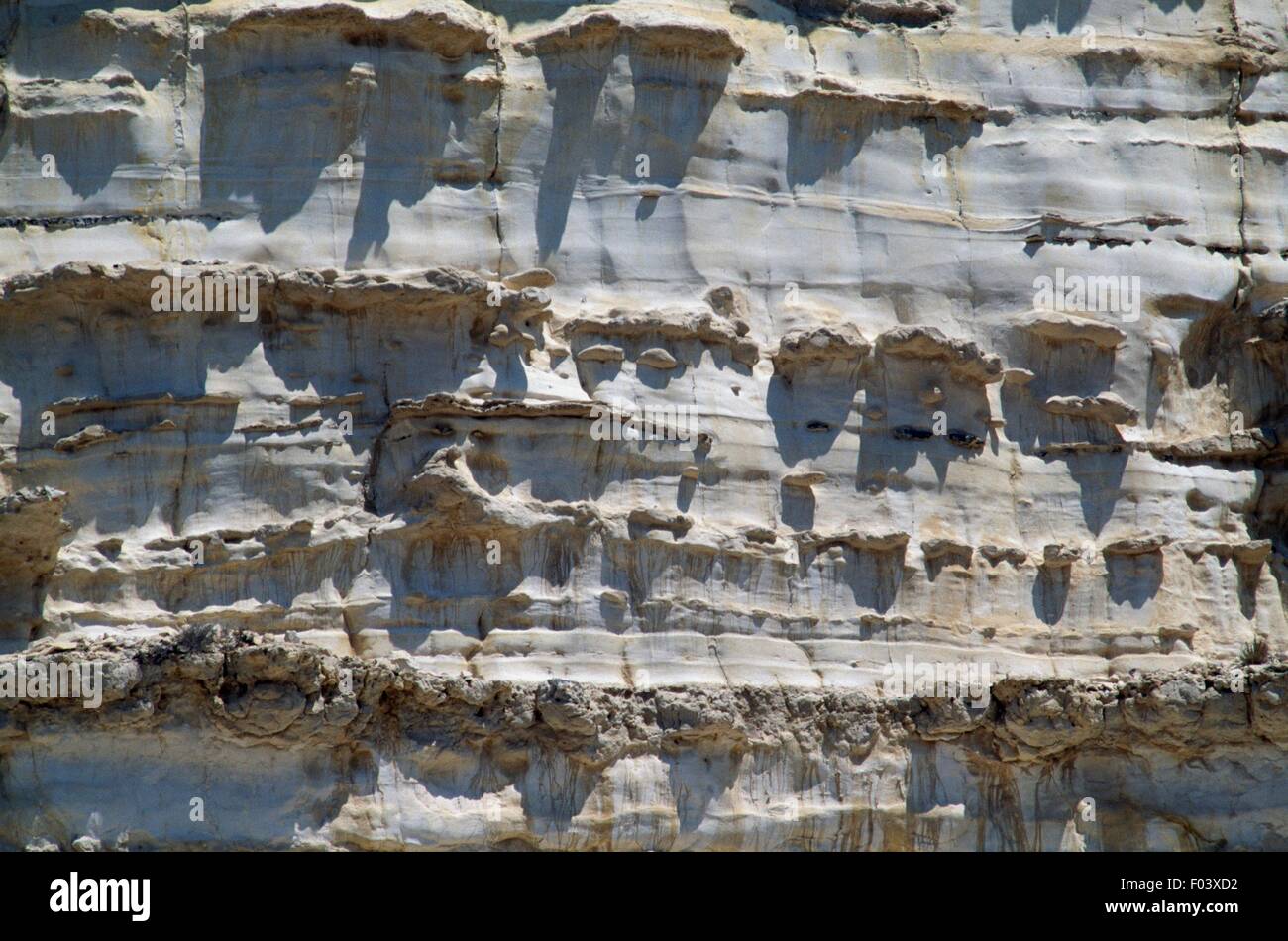 The Ein Avdat canyon in Nahal Zin, Negev Desert, Israel. Detail Stock ...