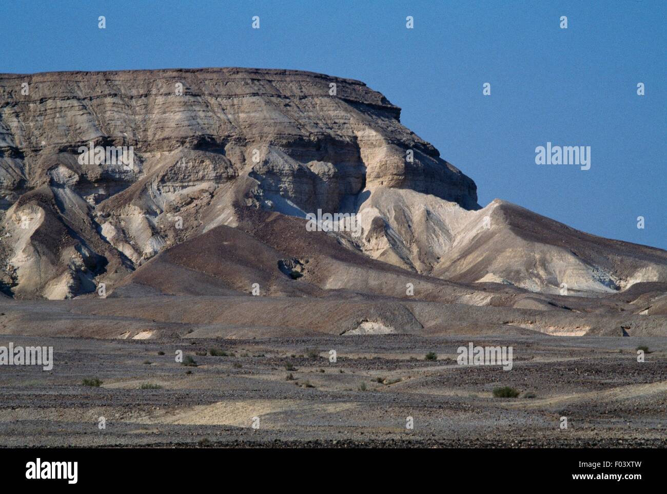 The desert around Arad, Negev Desert, Israel Stock Photo - Alamy