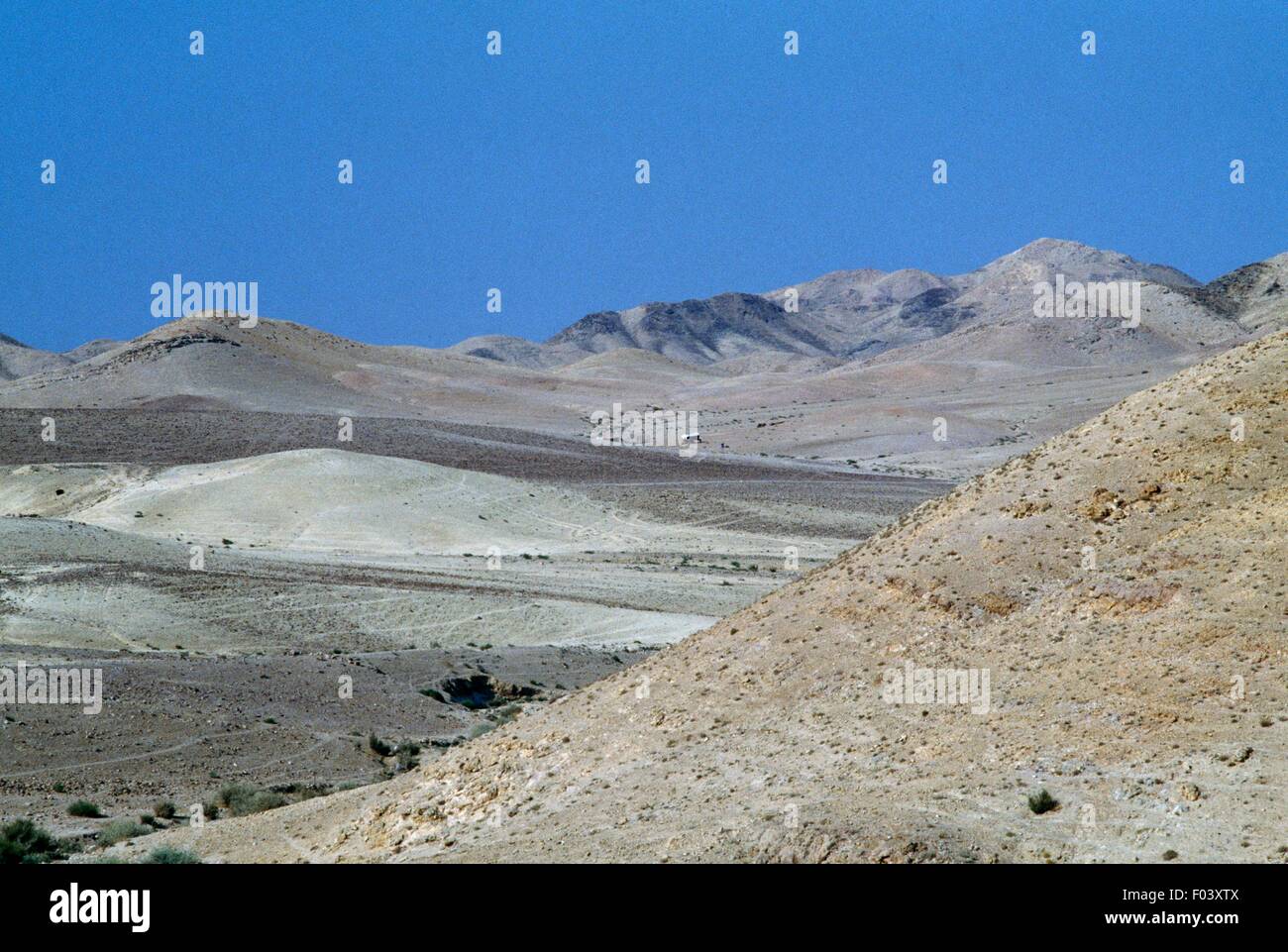 The desert around Arad, Negev Desert, Israel Stock Photo - Alamy